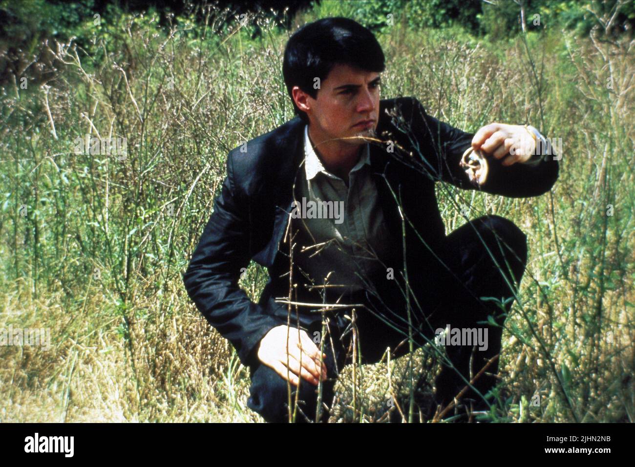 KYLE MACLACHLAN, BLUE VELVET, 1986 Stock Photo - Alamy