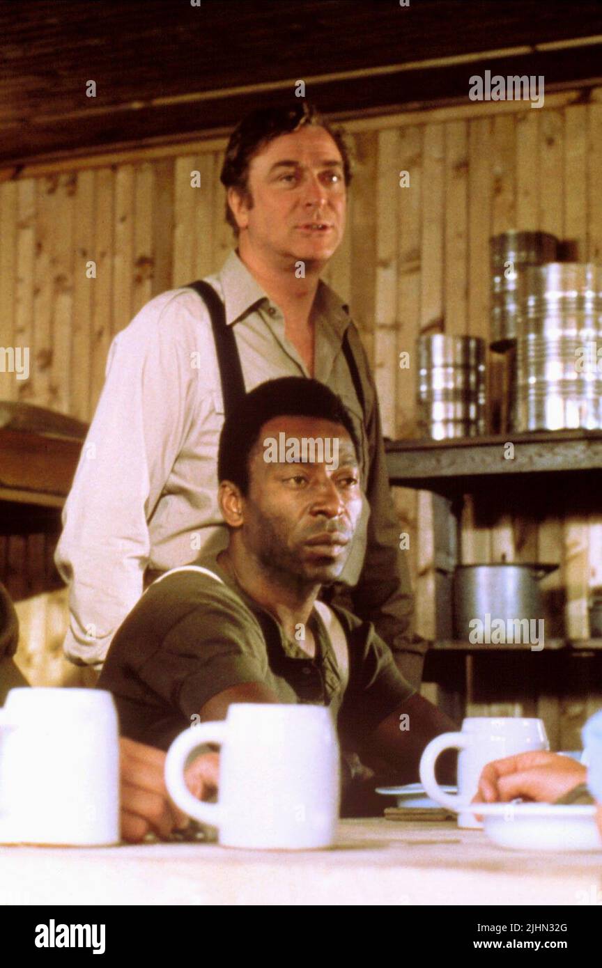 MICHAEL CAINE, PELE, VICTORY, 1981 Stock Photo - Alamy