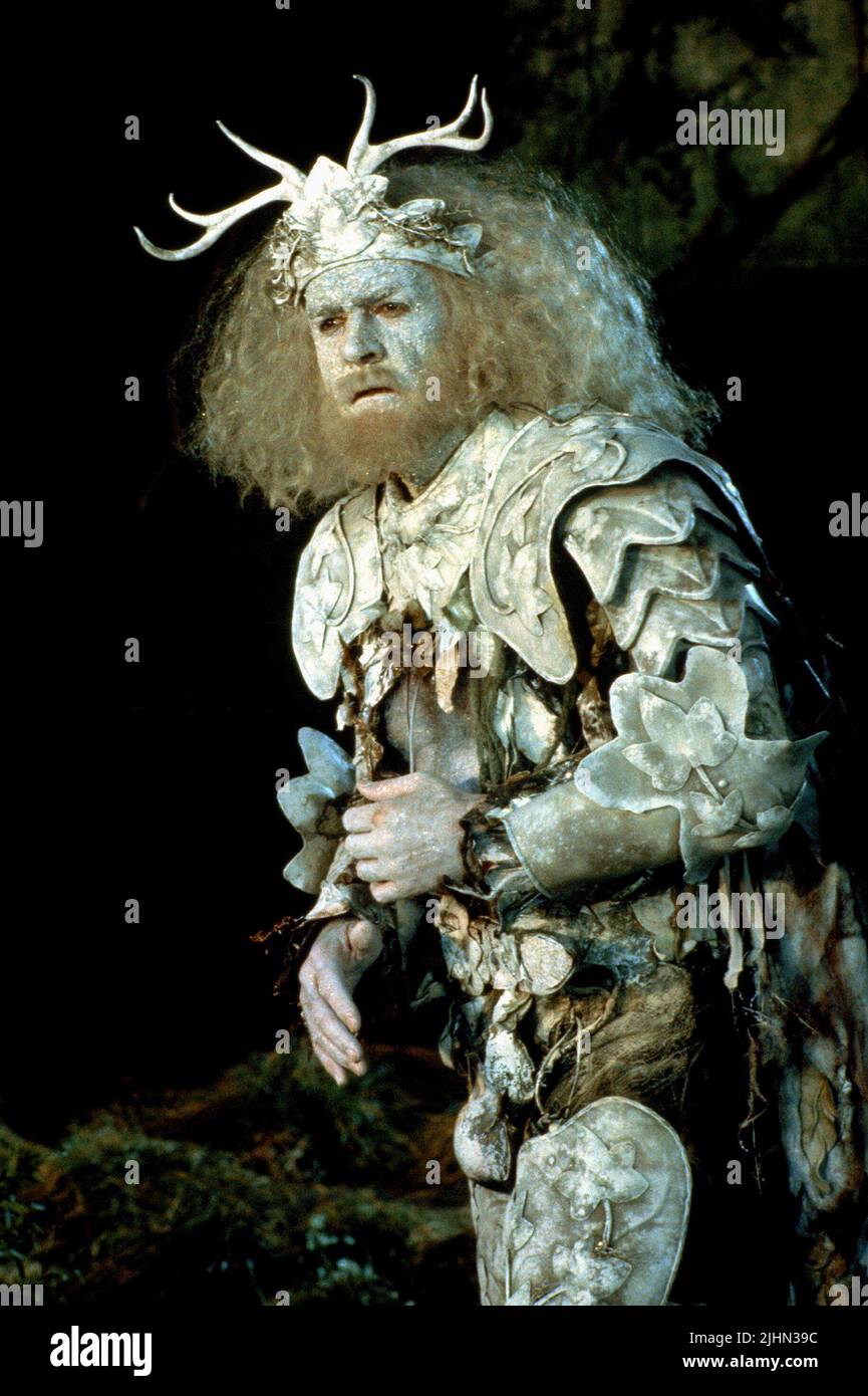 SEAN CONNERY, SWORD OF THE VALIANT: THE LEGEND OF SIR GAWAIN AND THE ...