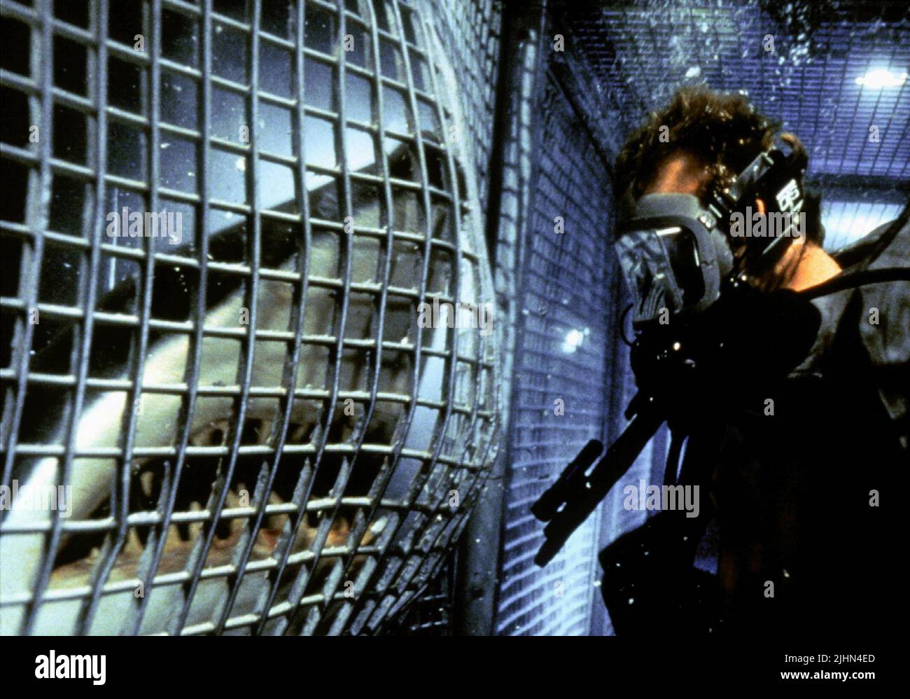 Deep blue sea thomas jane - medicinekool