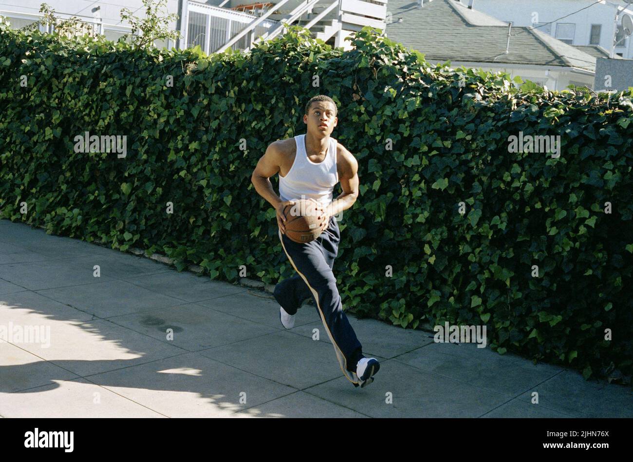 Damien carter hi-res stock photography and images - Alamy