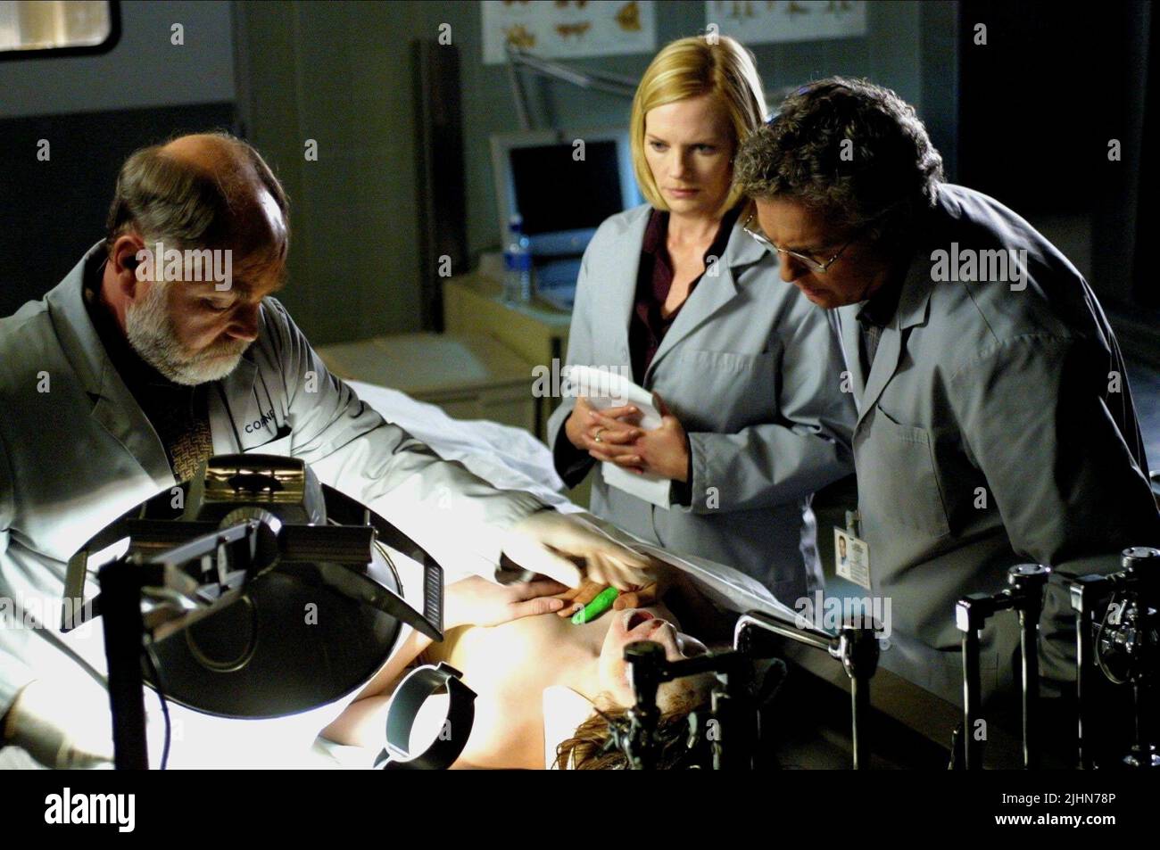 ROBERT DAVID HALL, MARG HELGENBERGER, WILLIAM L. PETERSEN, CSI: CRIME ...