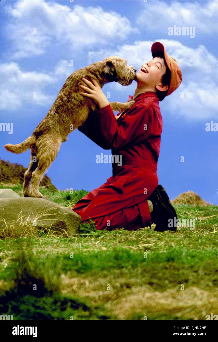 Good boy movie dog hi-res stock photography and images - Alamy