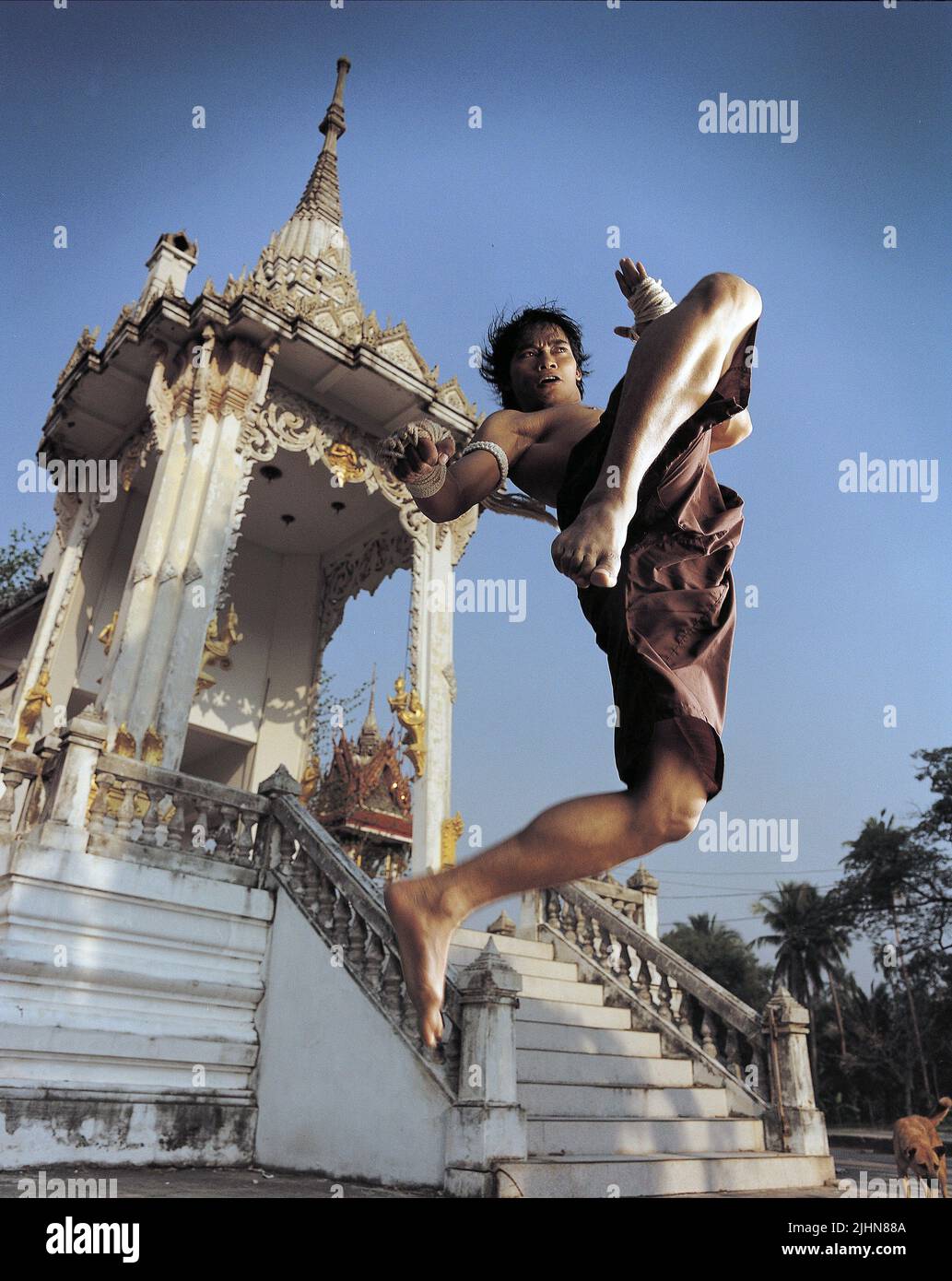 TONY JAA, ONG-BAK: THE THAI WARRIOR, 2003 Stock Photo - Alamy