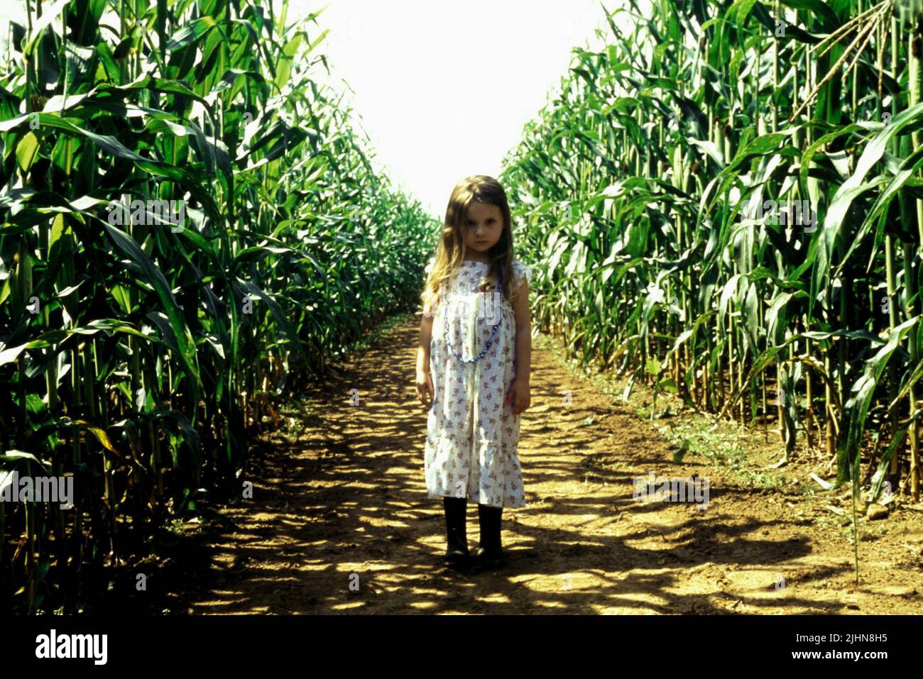 ABIGAIL BRESLIN, SIGNS, 2002 Stock Photo - Alamy