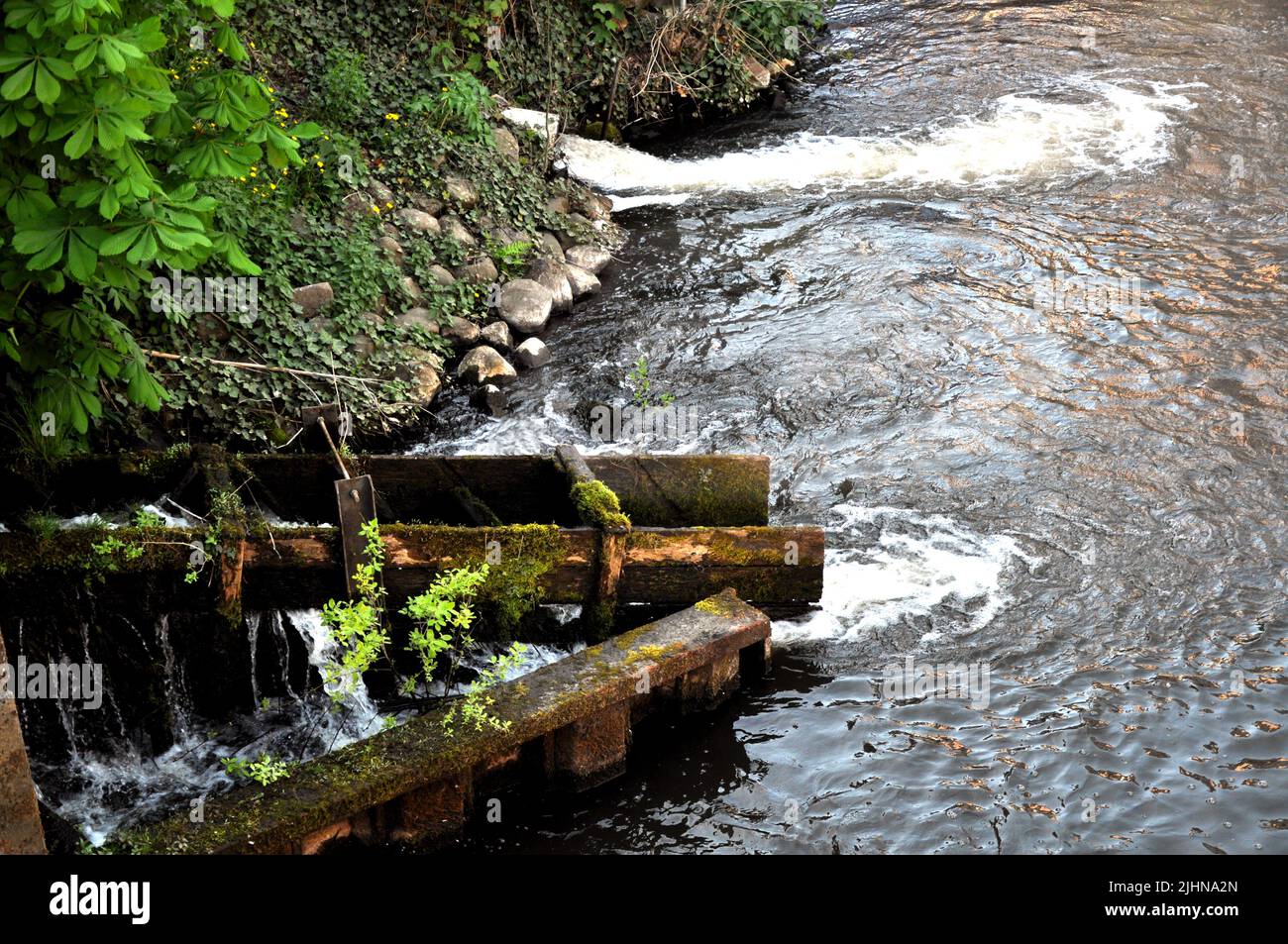 a beautifull fish stair Stock Photo - Alamy