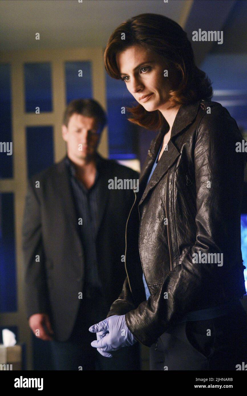Stana Katic Leather