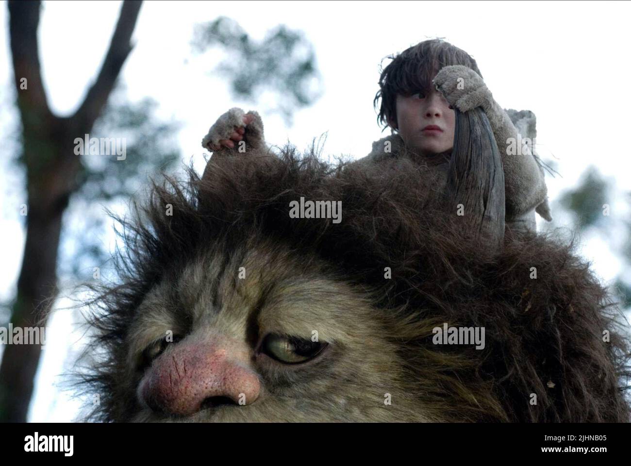CAROL, MAX RECORDS, WHERE THE WILD THINGS ARE, 2009 Stock Photo - Alamy