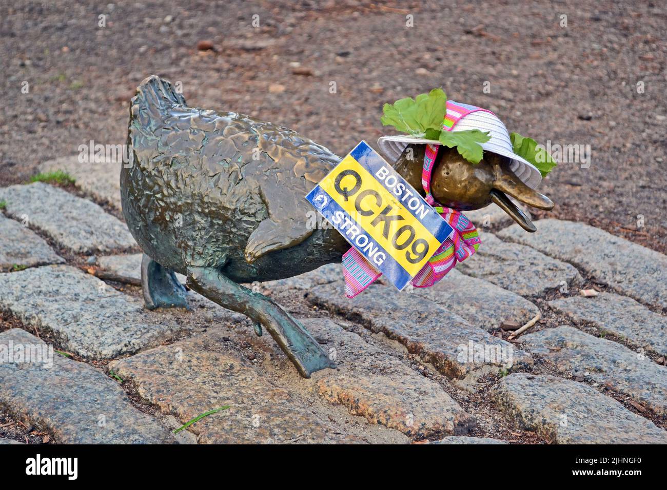 Strong duck hi-res stock photography and images - Alamy