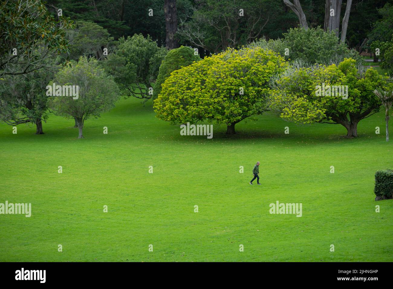 Lush green grass of cornwall hi-res stock photography and images - Alamy