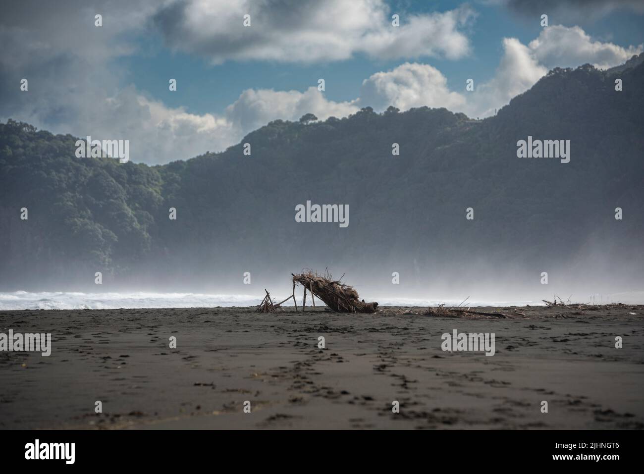 A small lean-to for shelter from the sun built by surfer's at Piha ...