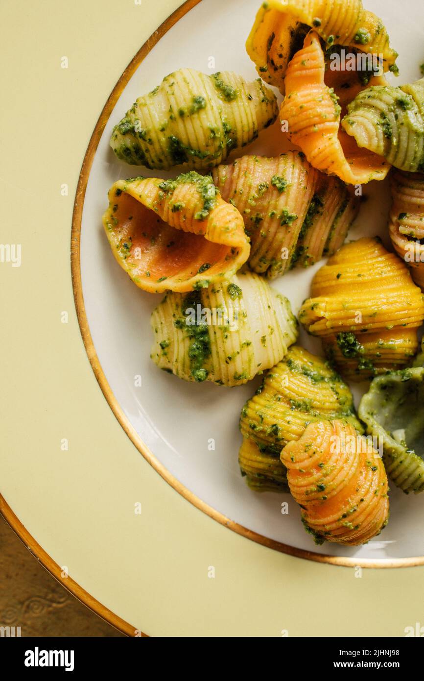 pesto pasta with multicolor Sea Conch Shells "Conchiglioni" on pale ...