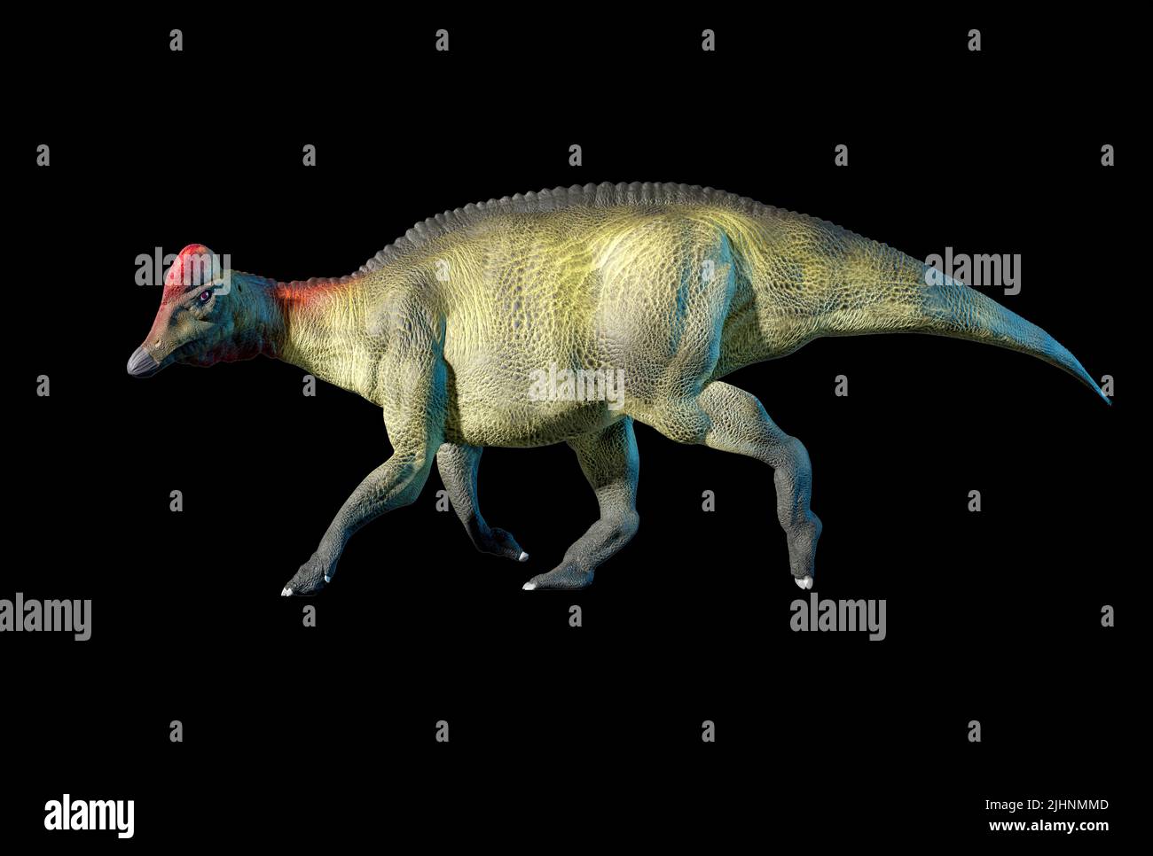 Hypacrosaurus dinosaur, illustration Stock Photo - Alamy