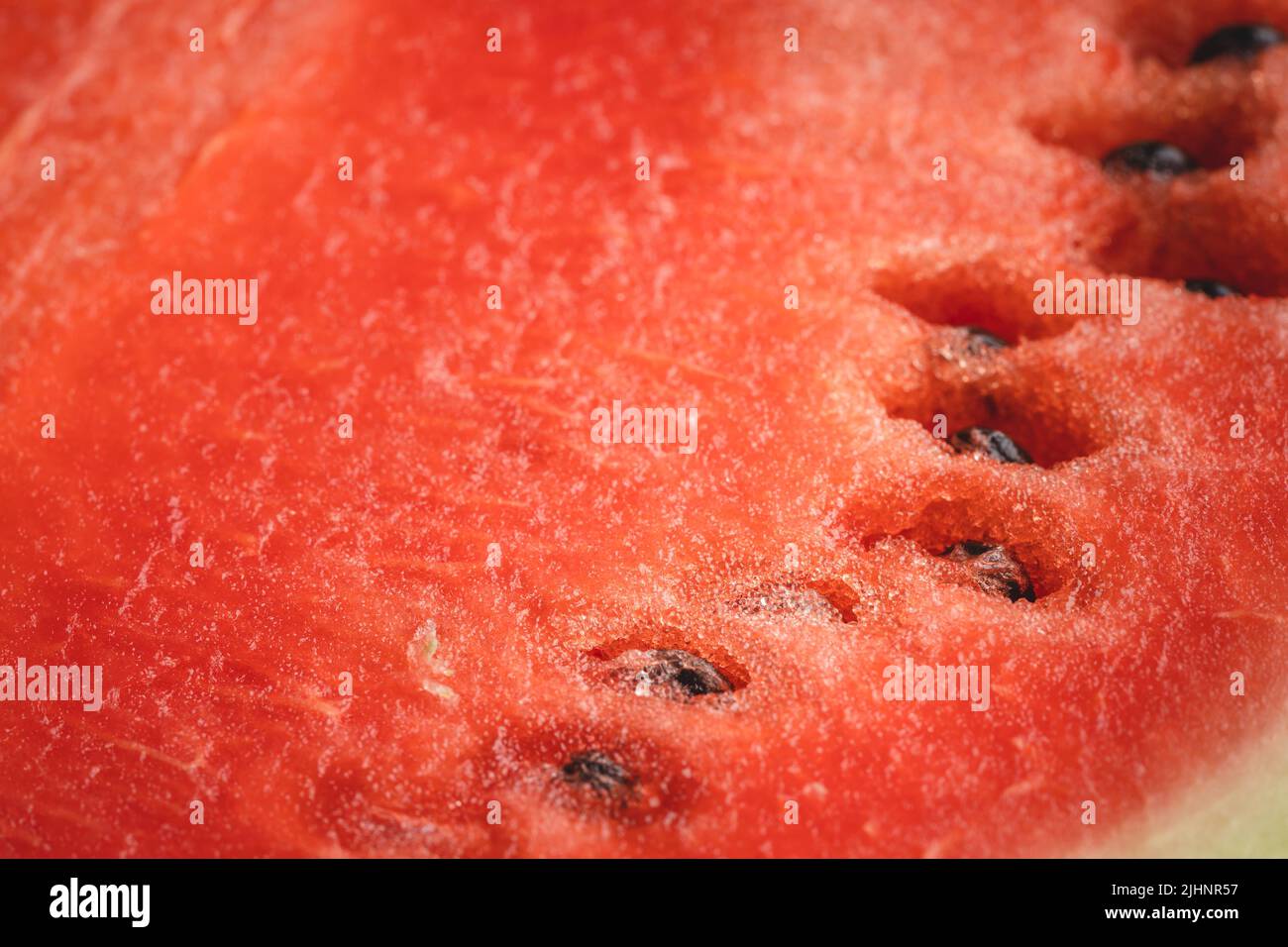 watermelon full frame macro on fresh ripe juicy slice background Stock ...