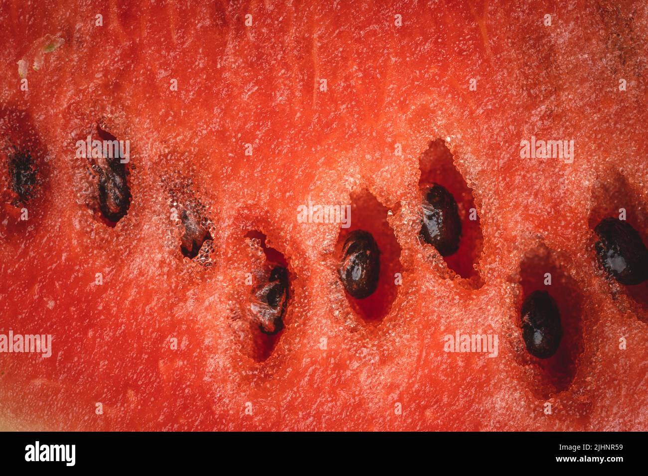 watermelon full frame macro on fresh ripe juicy slice background Stock ...