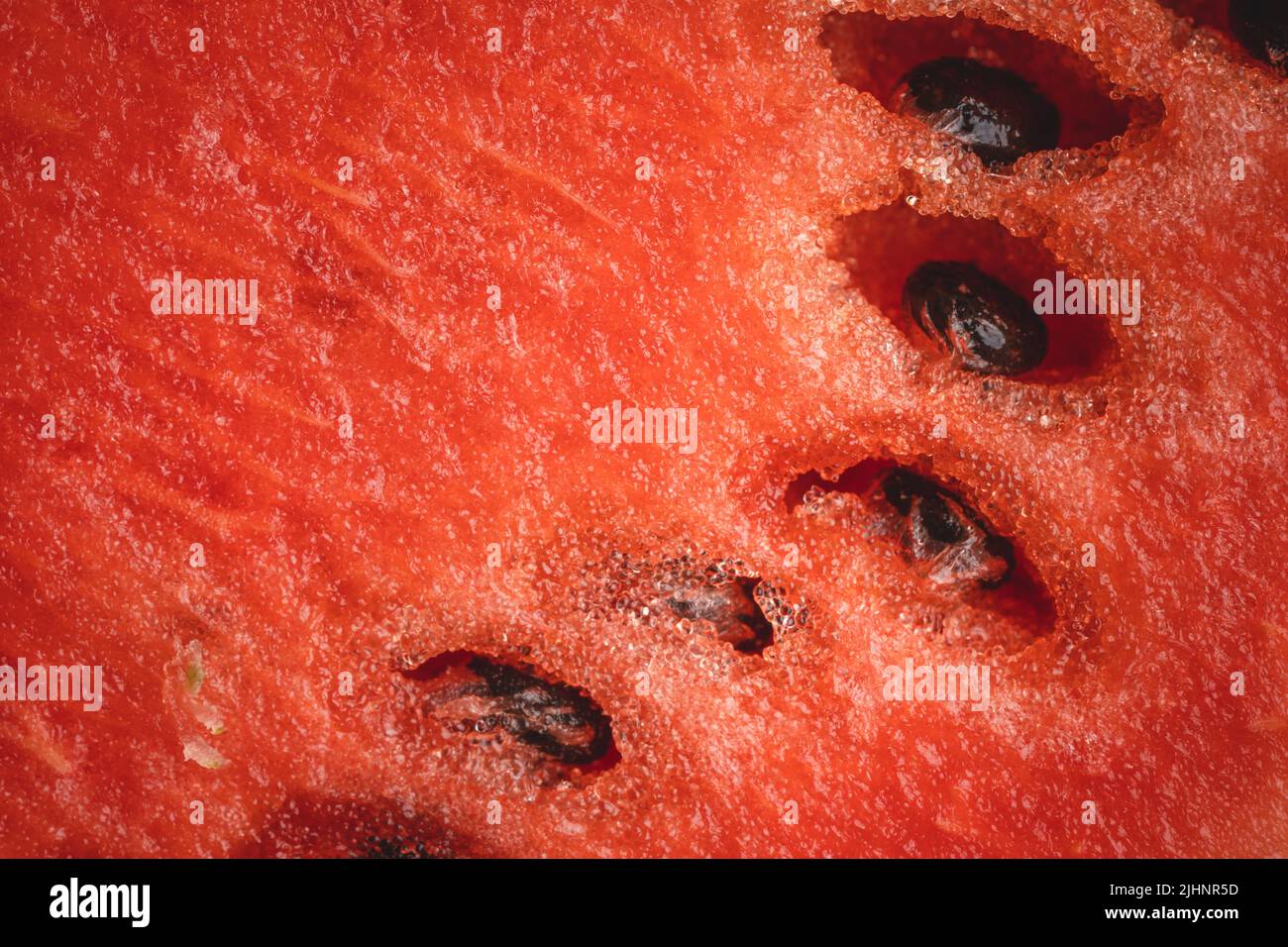 watermelon full frame macro on fresh ripe juicy slice background Stock ...