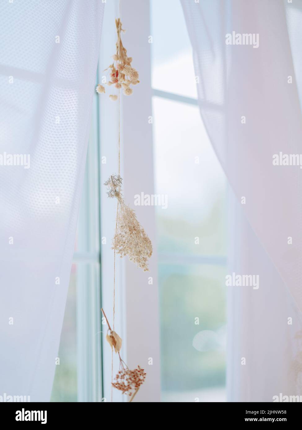 Dried Flower by the Window Stock Photo - Alamy