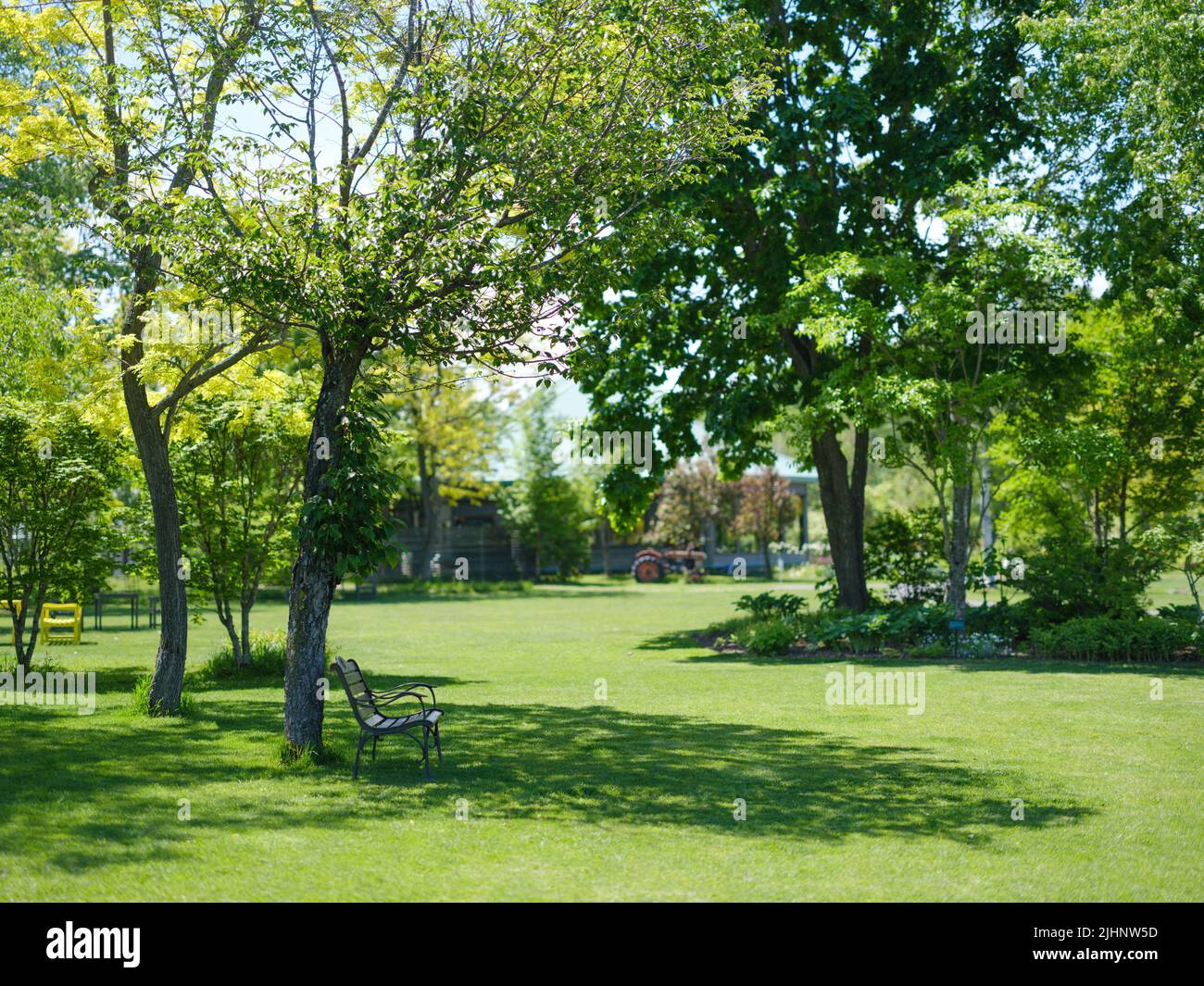 Bench at Park Stock Photo - Alamy
