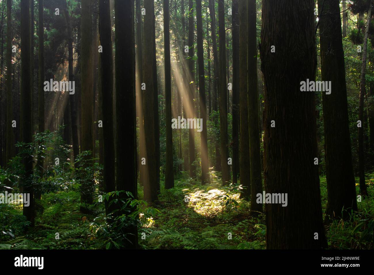 Aso in morning kumamoto hi-res stock photography and images - Alamy