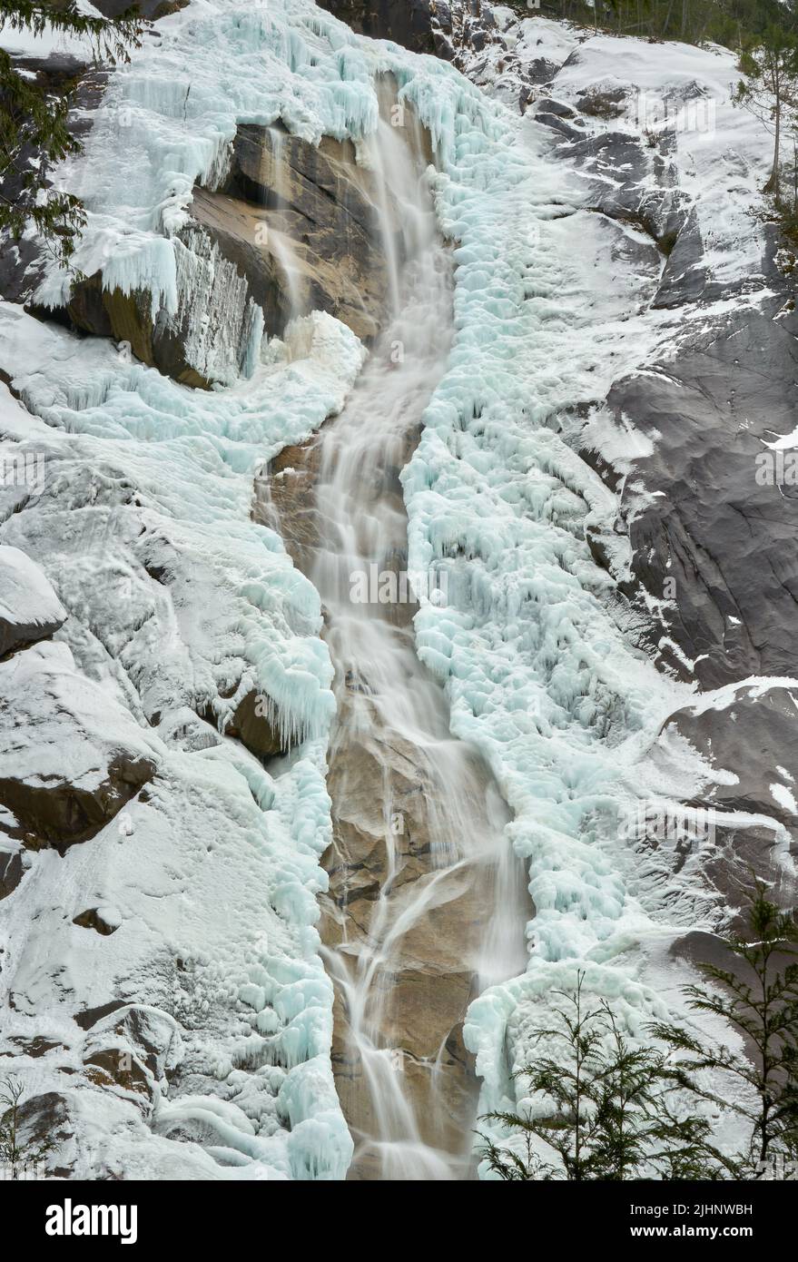 Shannon woods hi-res stock photography and images - Alamy