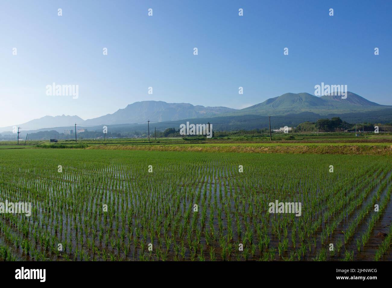 Rice Paddy in Aso Caldera and Mt. Aso, Kumamoto Prefecture, Japan Stock ...