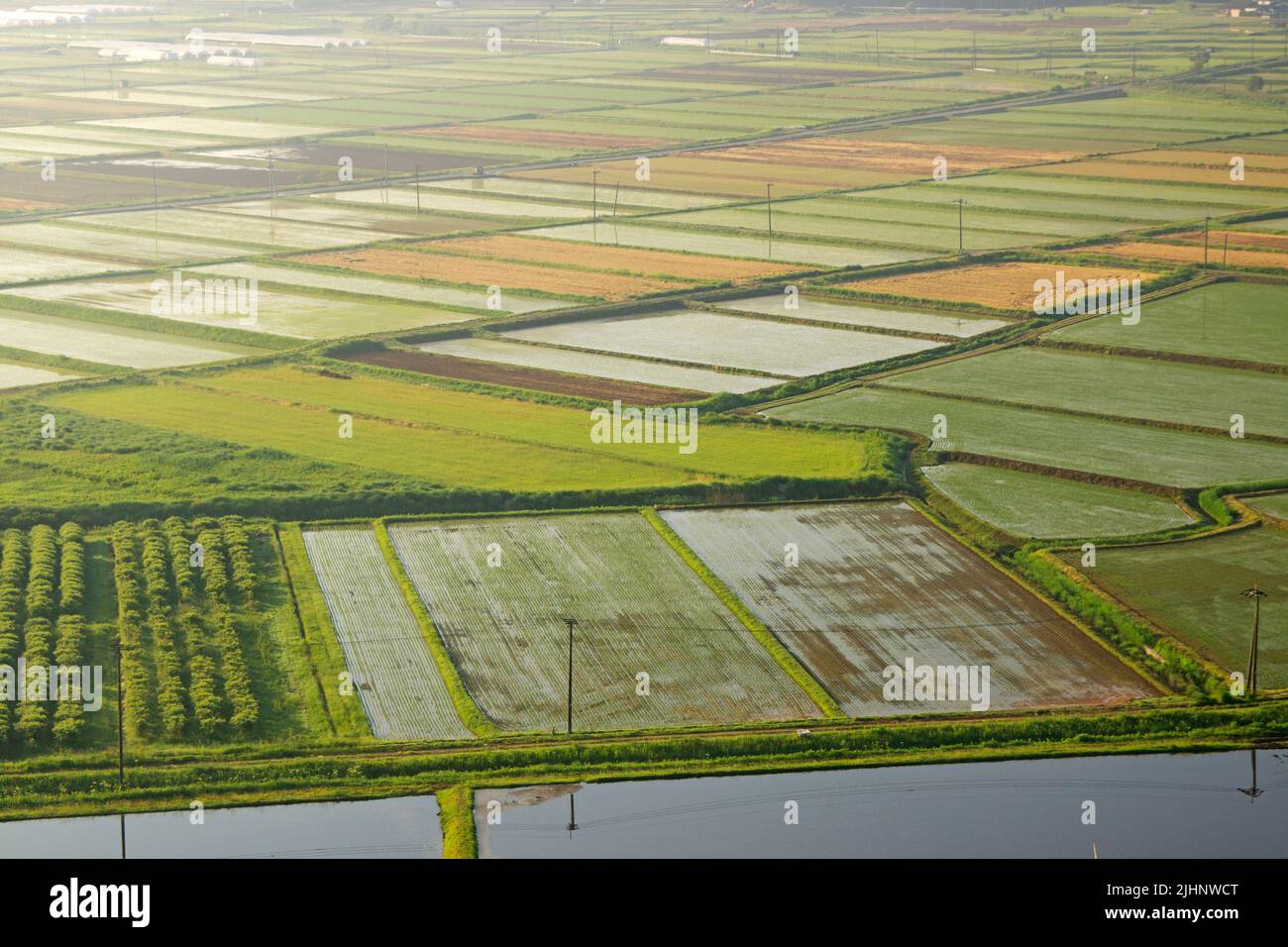 Rice Paddy in Aso Caldera, Kumamoto Prefecture, Japan Stock Photo - Alamy