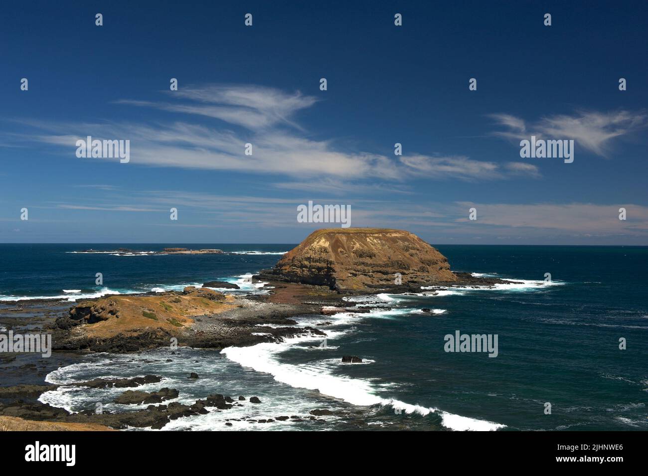 Phillip bay penguin hi-res stock photography and images - Alamy