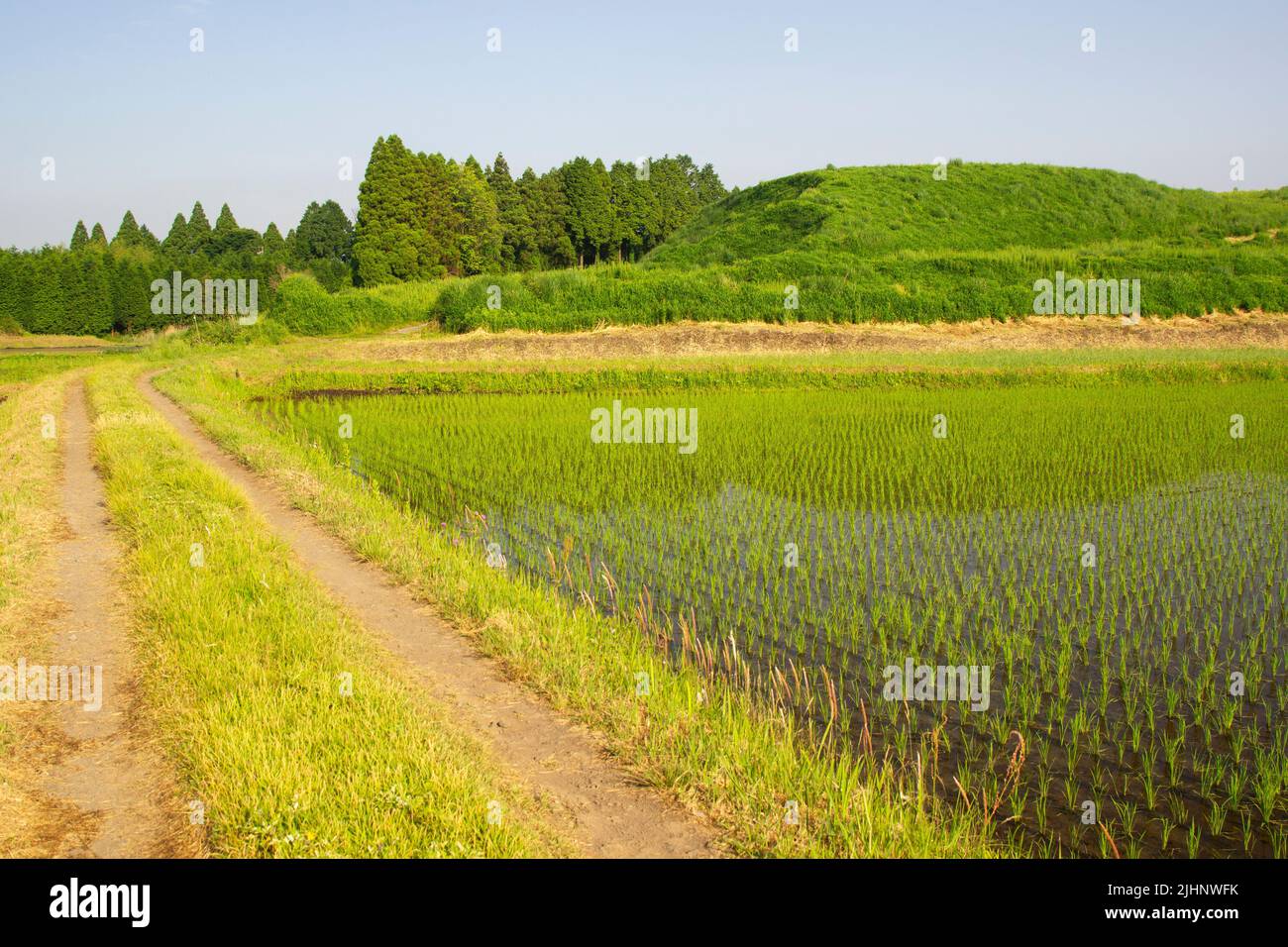 Rice Paddy in Caldera of Mt. Aso, Kumamoto Prefecture, Japan Stock ...