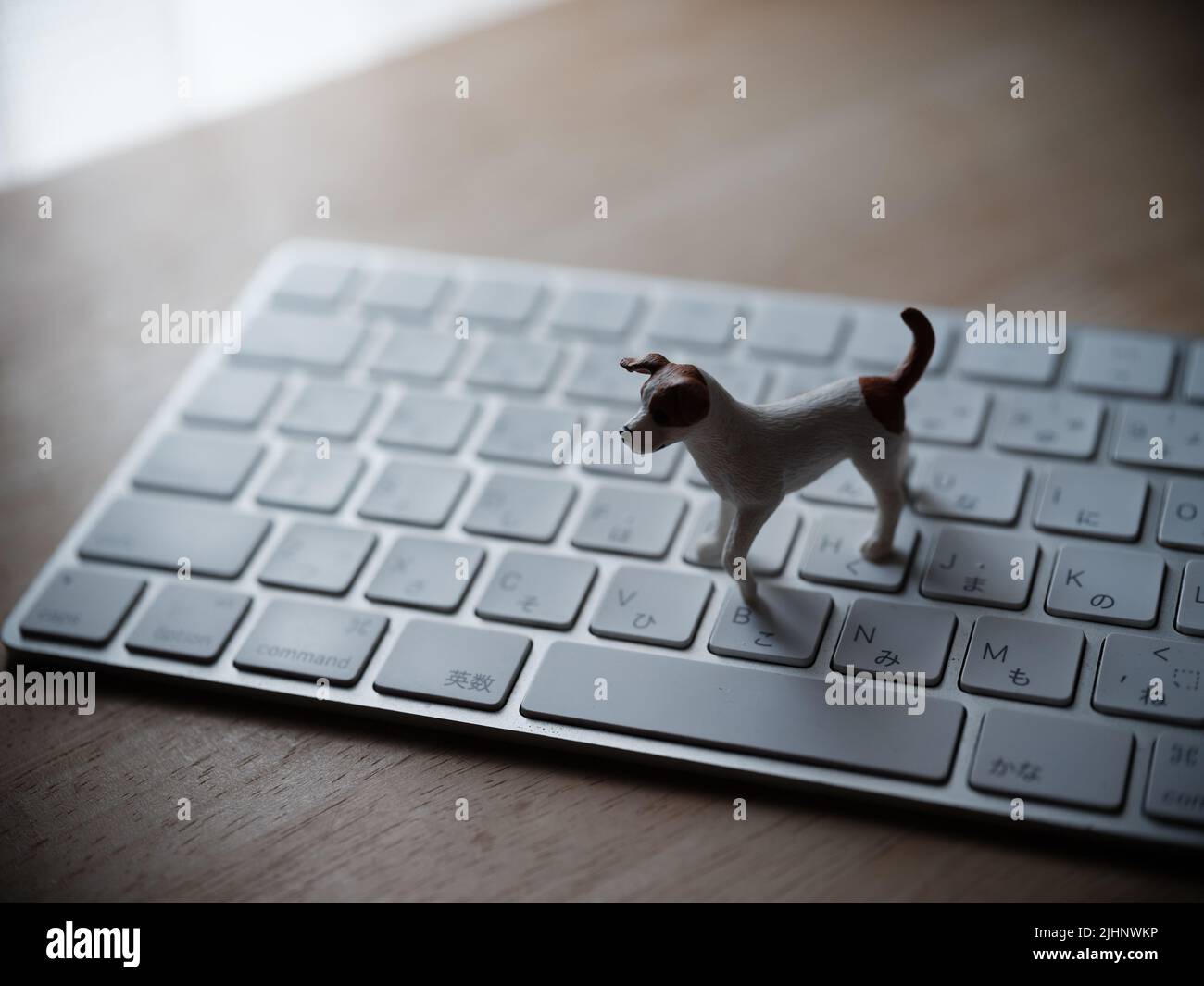 Dog Figure and Keyboard Stock Photo - Alamy