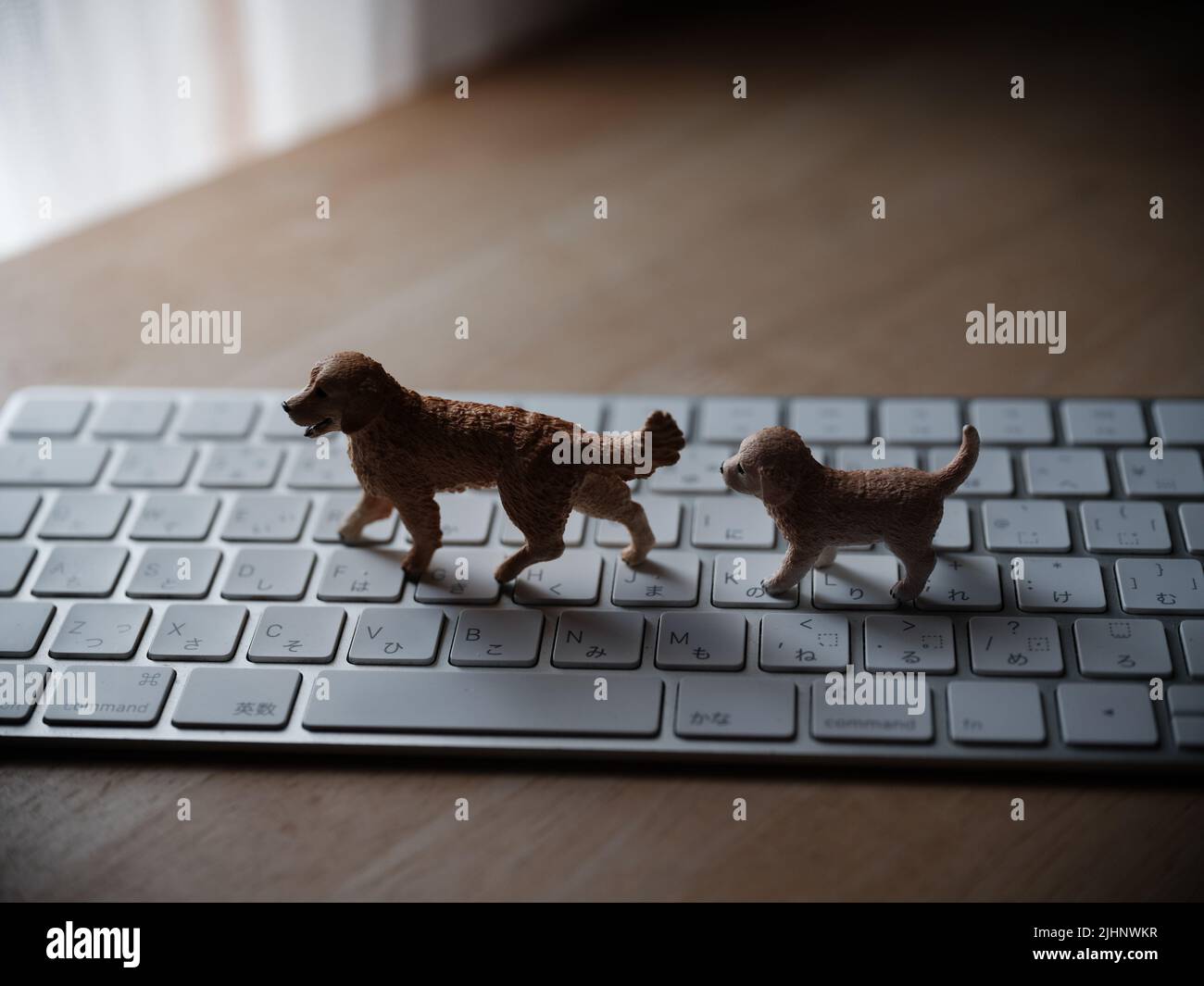 Dog Figure and Keyboard Stock Photo - Alamy