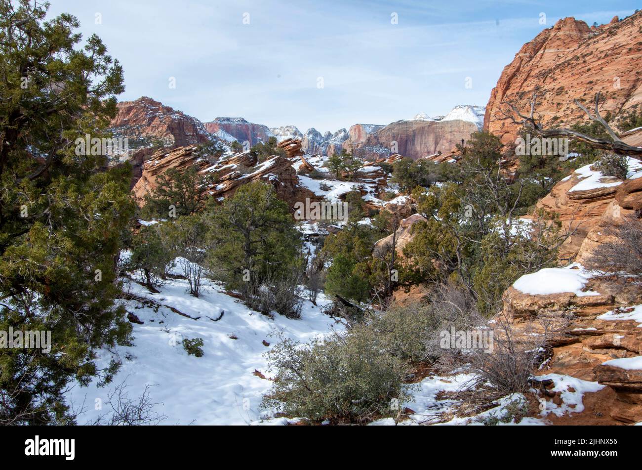 Canyon Overlook provides jaw-dropping views of Zion National Park in ...