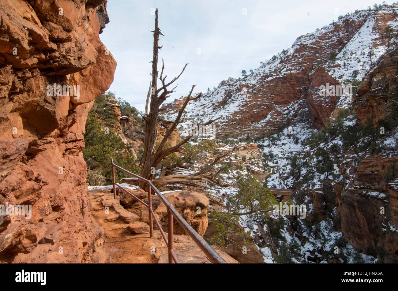 Canyon Overlook provides jaw-dropping views of Zion National Park in ...