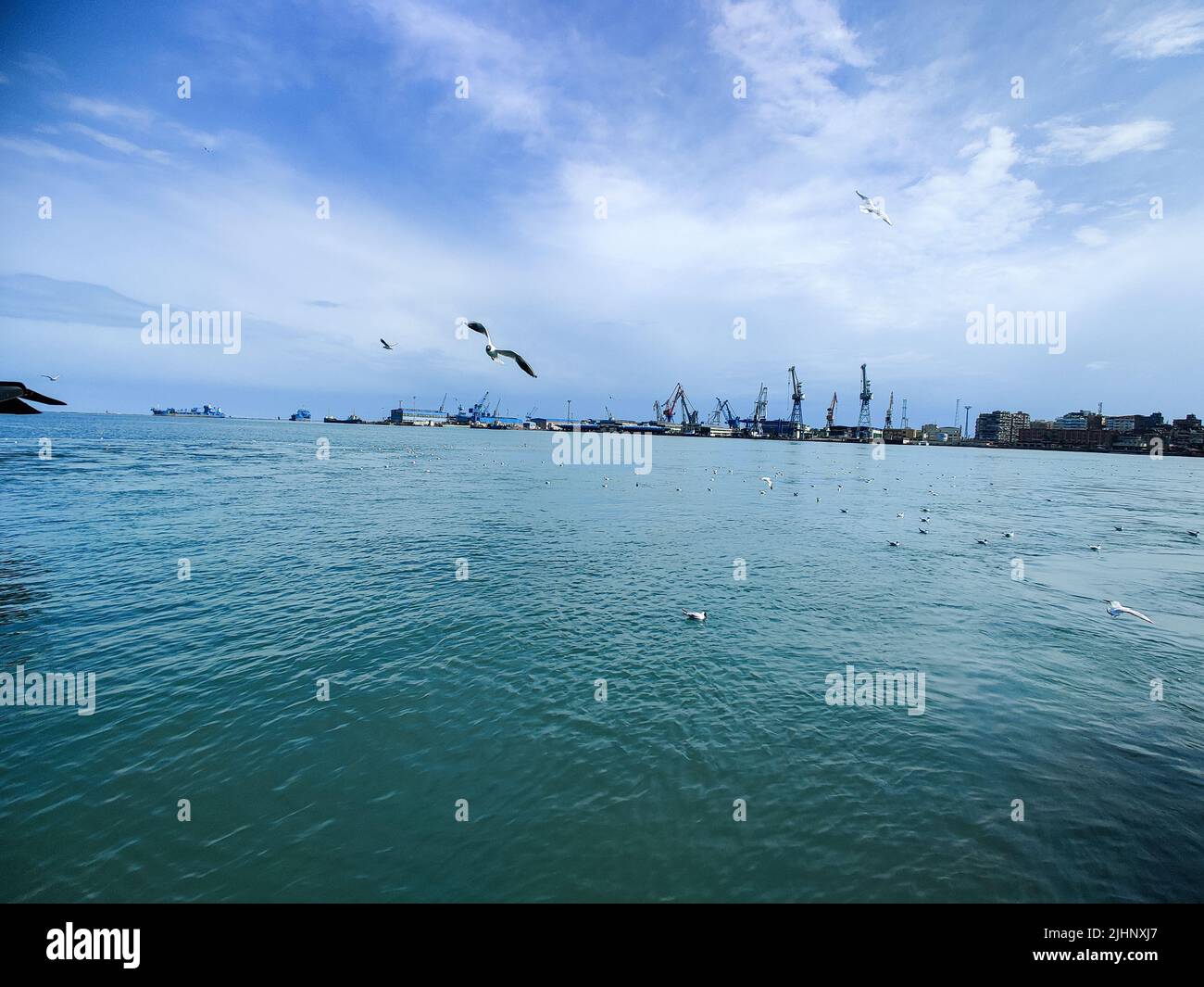 Seagulls flying and Fishing by the sea side with the background of the ...