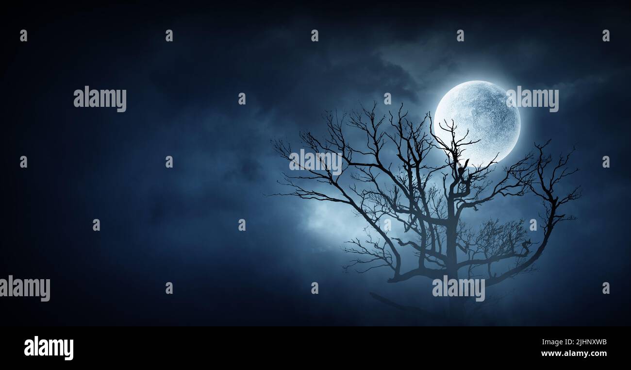 Spooky night image mixed media hi-res stock photography and images - Alamy