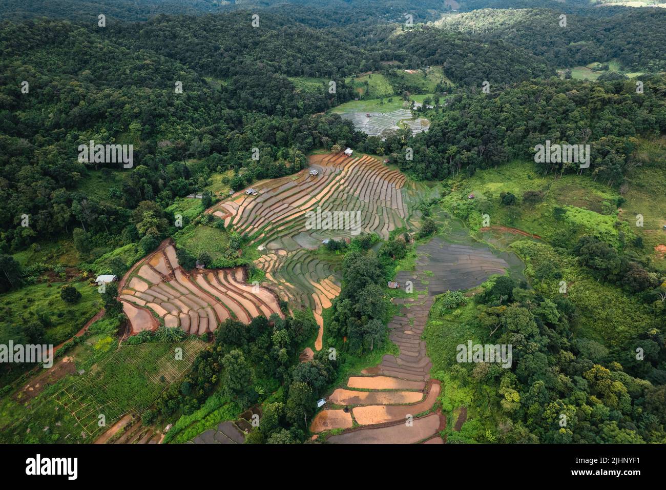 Rice fields outside the growing season,in asia Stock Photo - Alamy