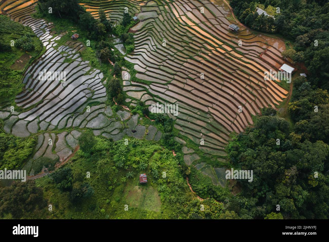 Rice fields outside the growing season,in asia Stock Photo - Alamy