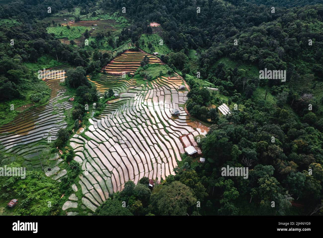 Rice fields outside the growing season,in asia Stock Photo - Alamy