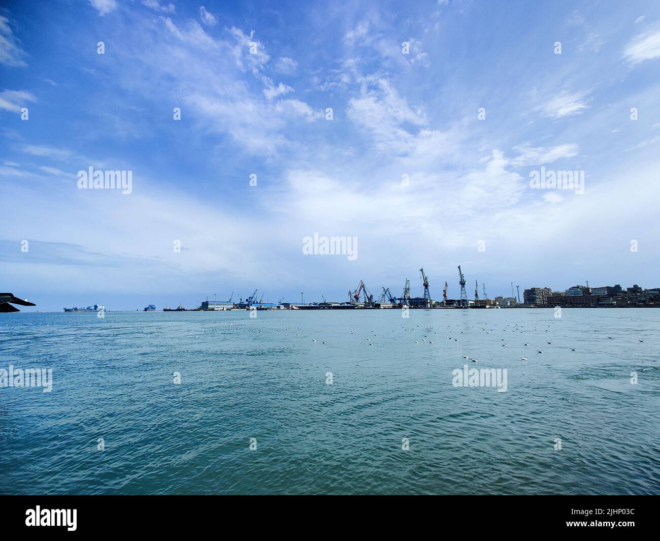 Seagulls flying and Fishing by the sea side with the background of the ...