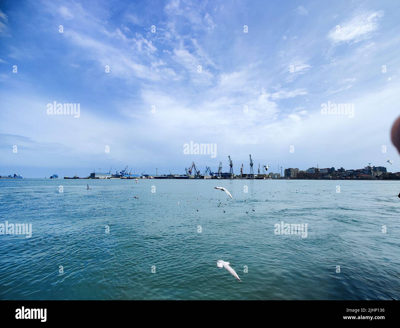 Seagulls flying and Fishing by the sea side with the background of the ...