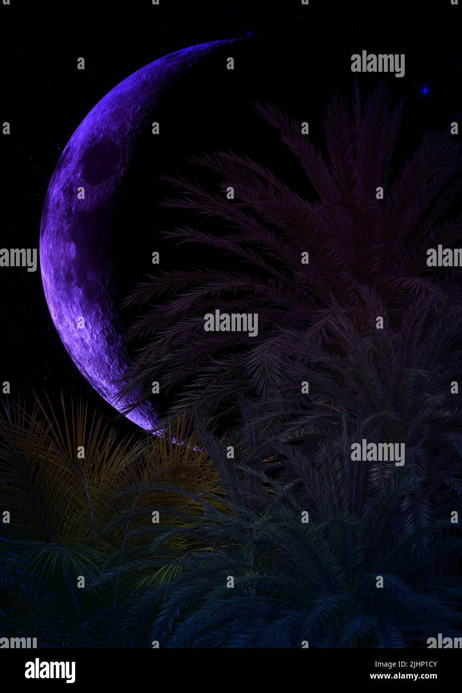 Fantasy palm trees and crescent moon, elements for this image furnished ...