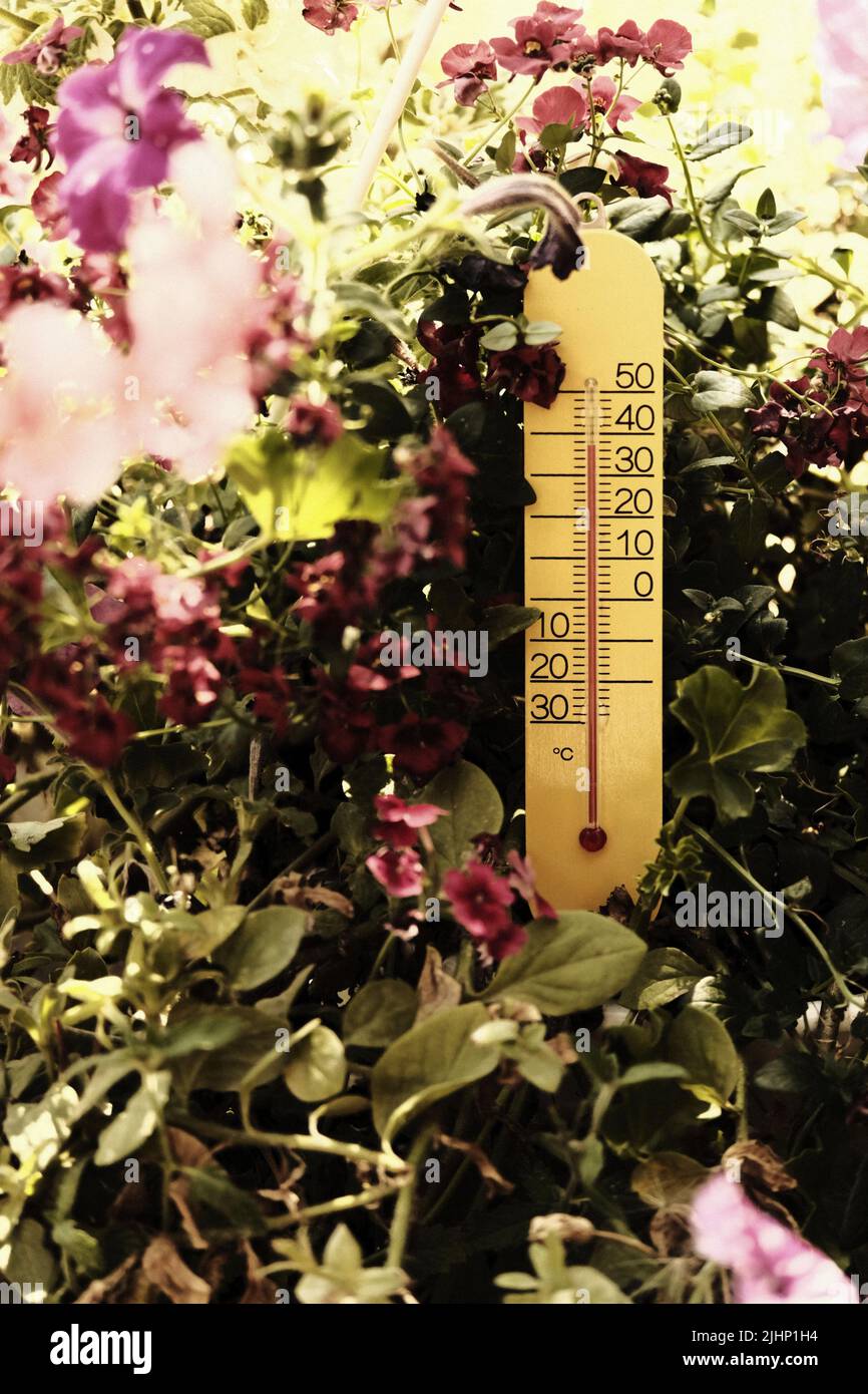 Thermometer 38 degrees outdoors hi-res stock photography and images - Alamy
