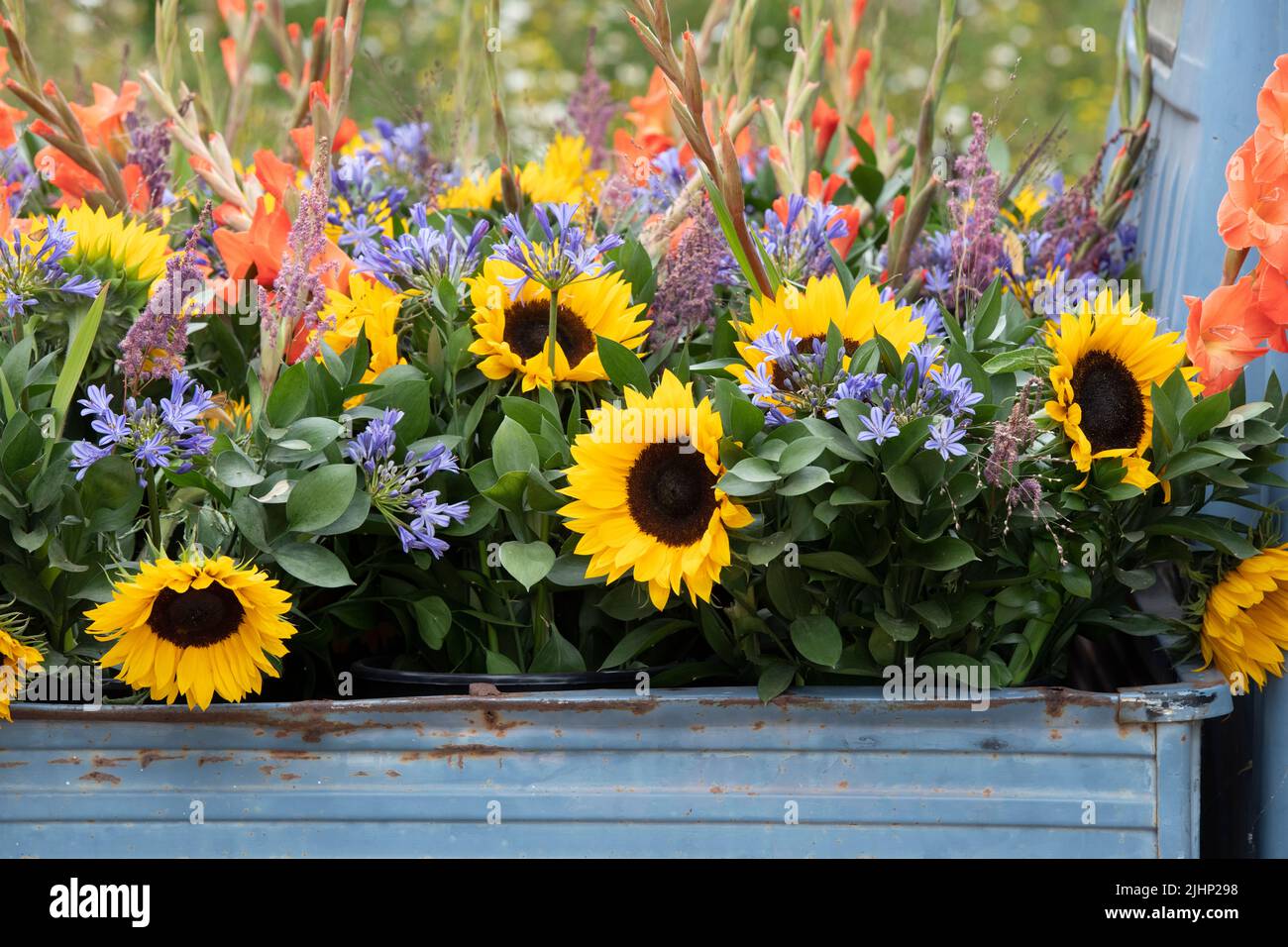 Flowers displaying in an Indian rickshaw pick up at a flower show. UK ...