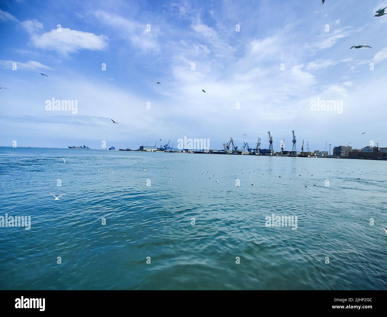 Seagulls flying and Fishing by the sea side with the background of the ...