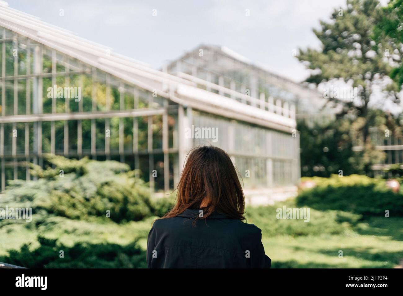 Anonymous woman on greenhouse background with botanical gardens Stock ...