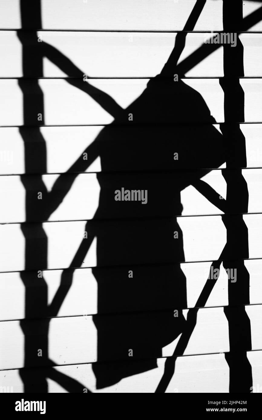 Japanese-style hare-like shadow Stock Photo - Alamy