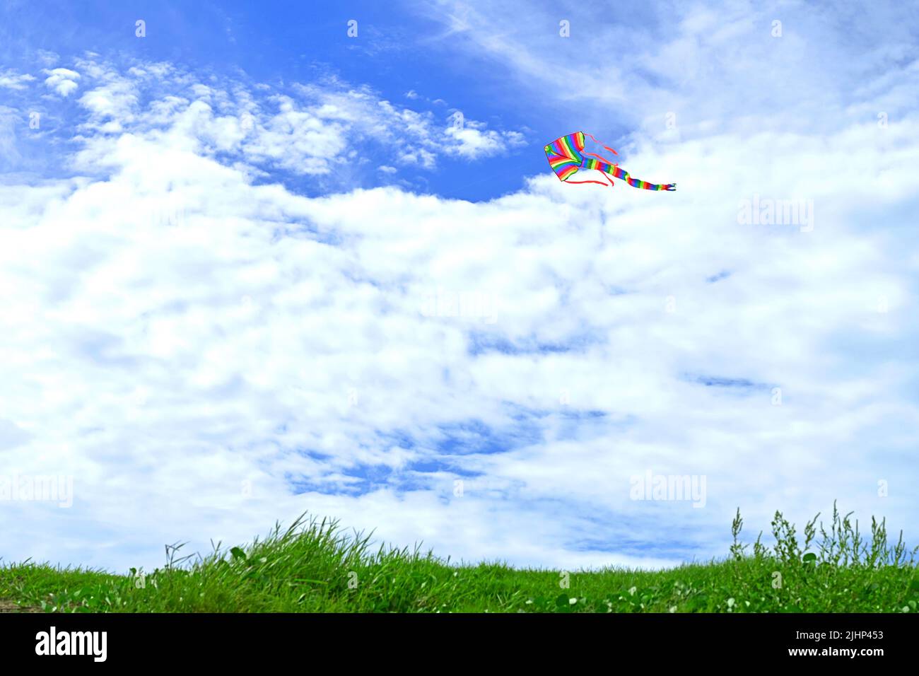 Rainbow kite flying in blue sky, with green grass field foreground ...