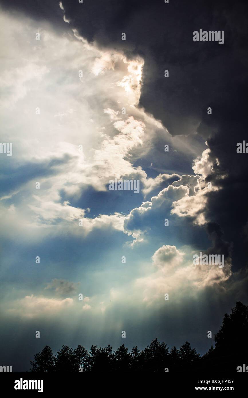 God rays on the forest. Heavenly beauty in all its splendor. The power ...