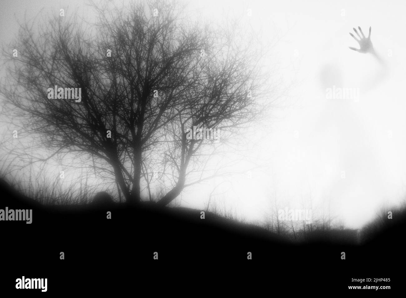 A giant monster roams in the fog Stock Photo - Alamy