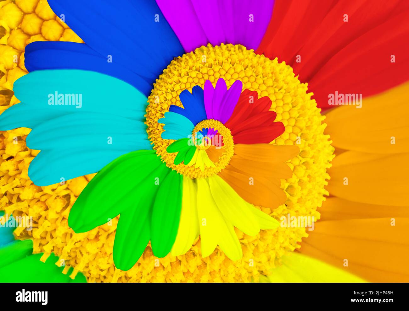 Rainbow colored daisy abstract infinite spiral background. Creative ...