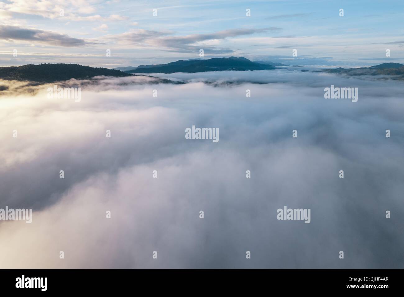fog and clouds in the morning in the forest form above Stock Photo - Alamy